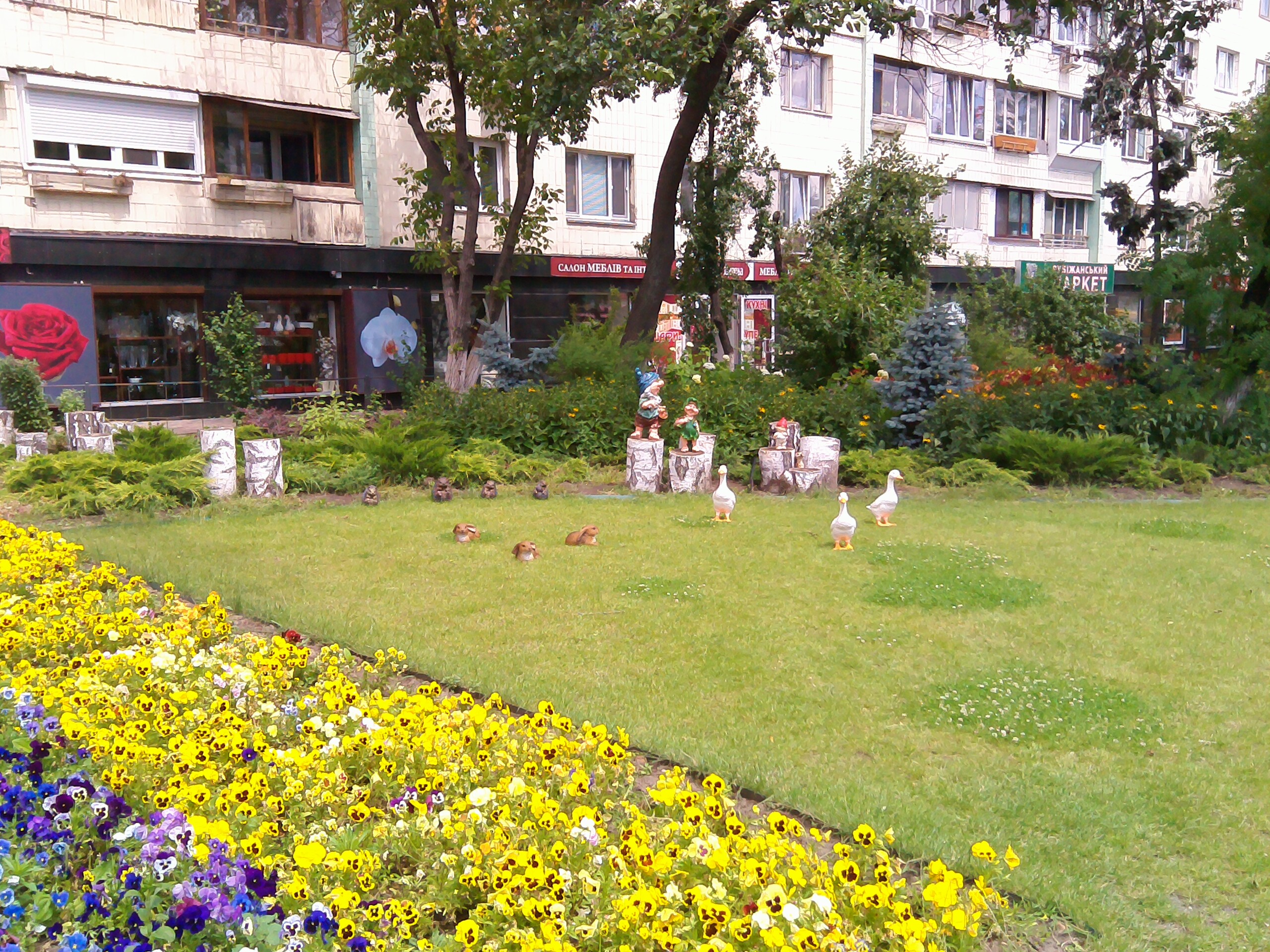 Обзор смартфона Fly IQ4491 ERA Life 3